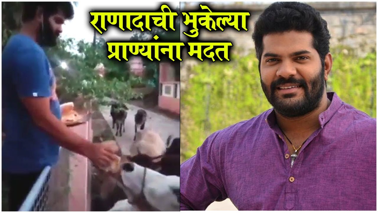 Hardeek Joshi aka RANA DADA Helps STRAY Animals With FOOD | राणादाची ...