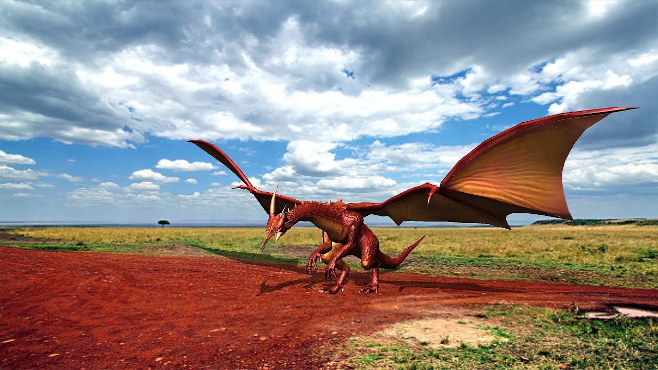 Dragon take off - free green screen - free use - YouTube