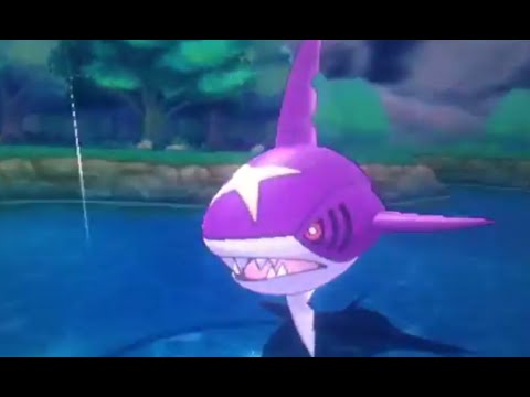 Shiny Sharpedo Catch! (Omega Ruby) - YouTube