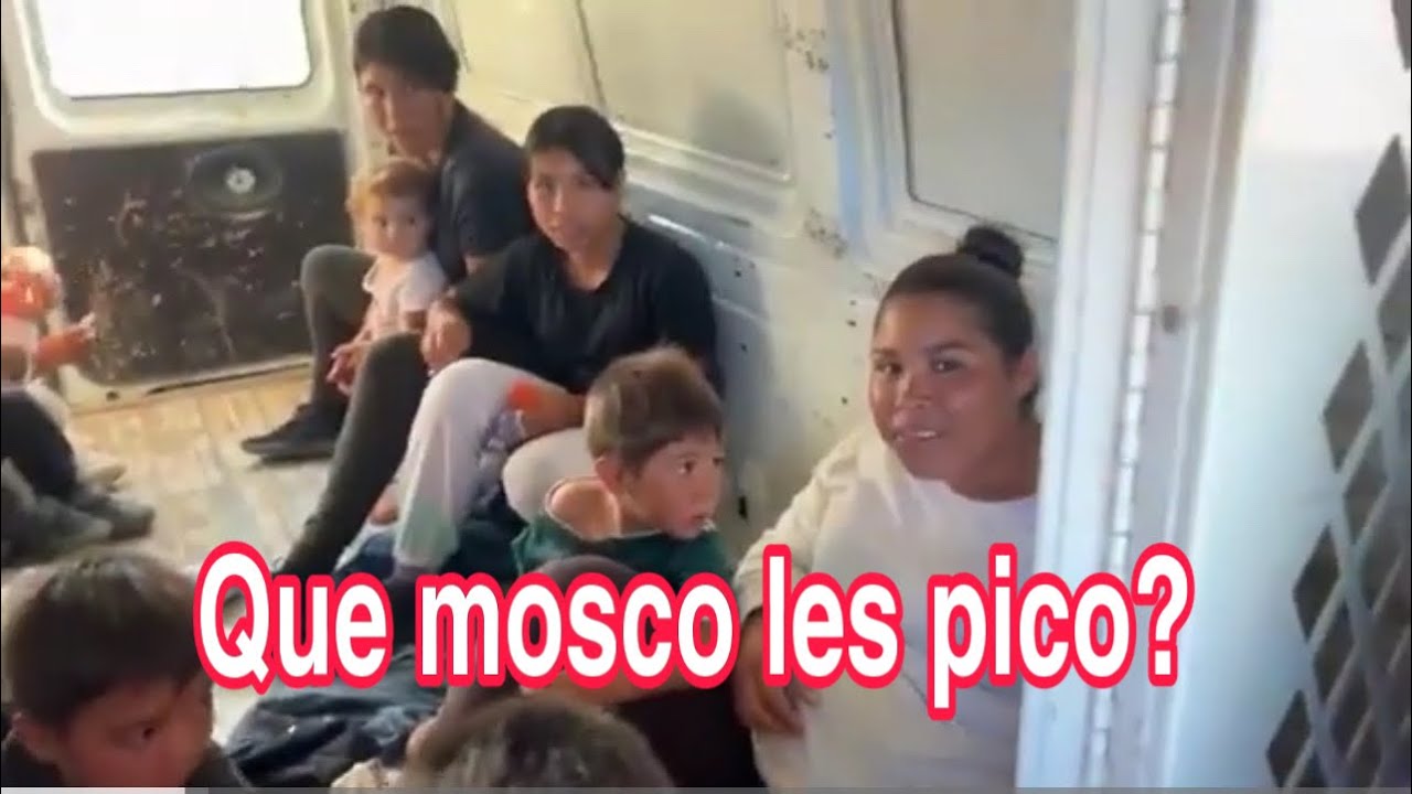 Que mosco les pico? #UnafamiliaSinNada - YouTube