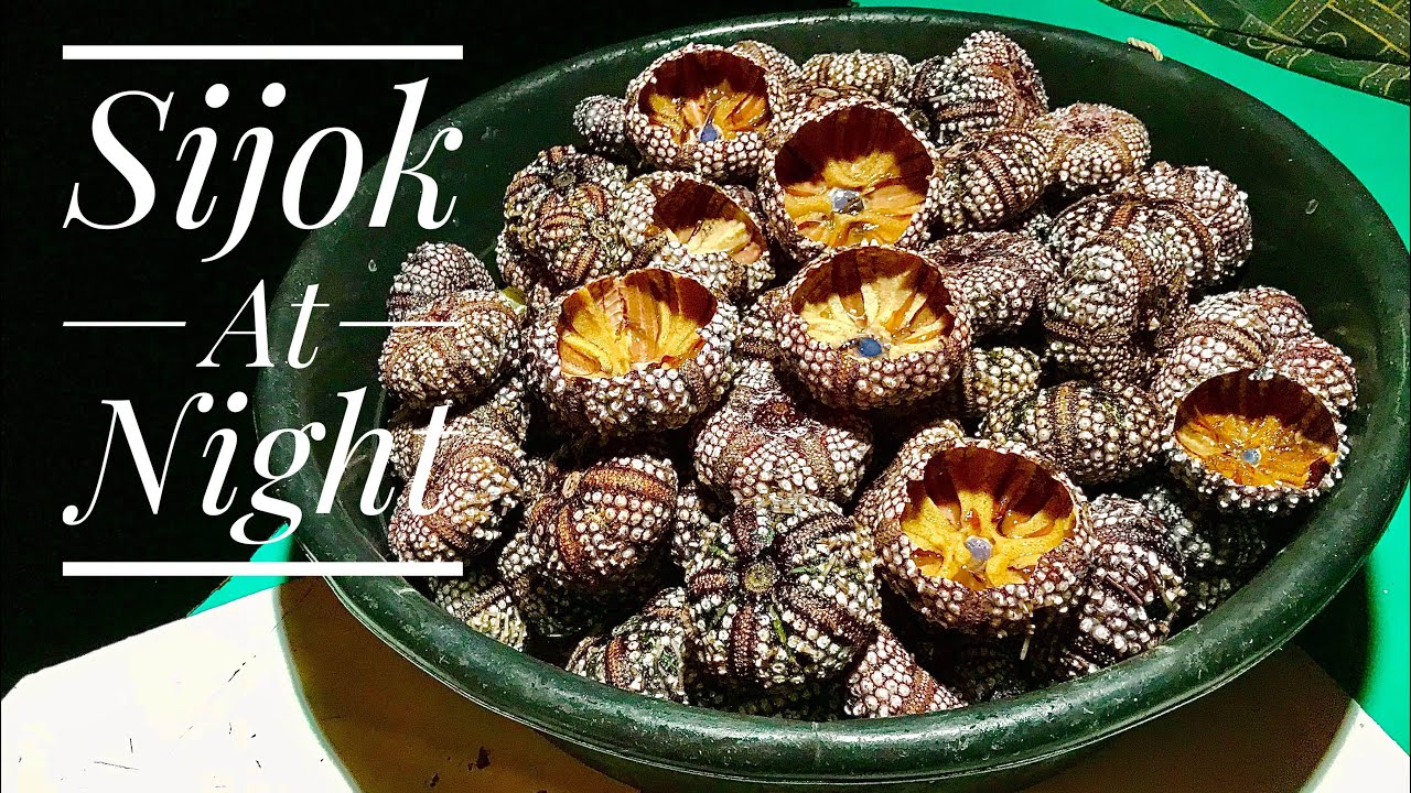 DIVING FOR SIJOK (SEA URCHINS) AT NIGHT PART 1 | CATCH AND EAT RAW ...