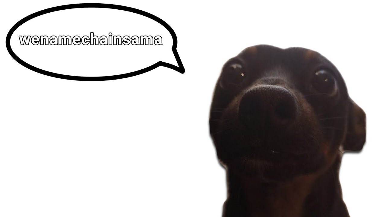 wenamichoinasama - YouTube