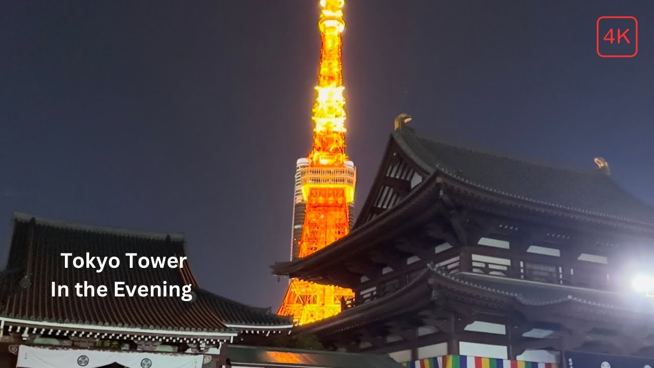 Experience the BEST Tokyo Tower Tour at NIGHT in 4K! - YouTube