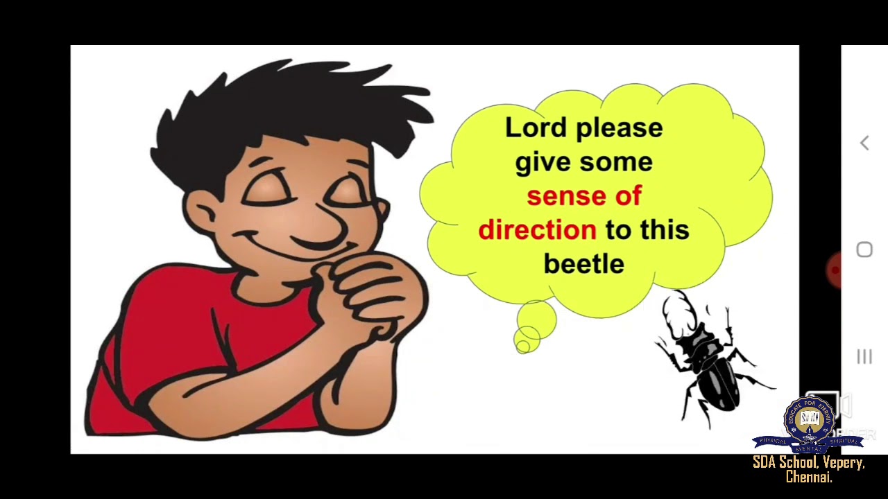 Class 5 ICSE English Session 10 YouTube Class 5 ICSE English Session 10 YouTube