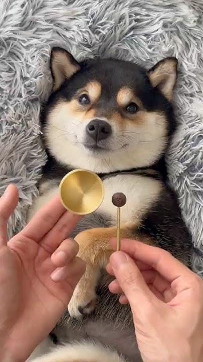 ASMR | Manyu’s Immersive Care SPA in Spring - Part 1: Relax & Unwind ...