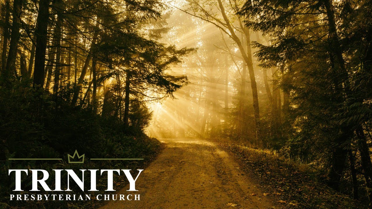 "Trauma & Healing: The Lord Our Shepherd, Part 2." from Psalm 23. - YouTube