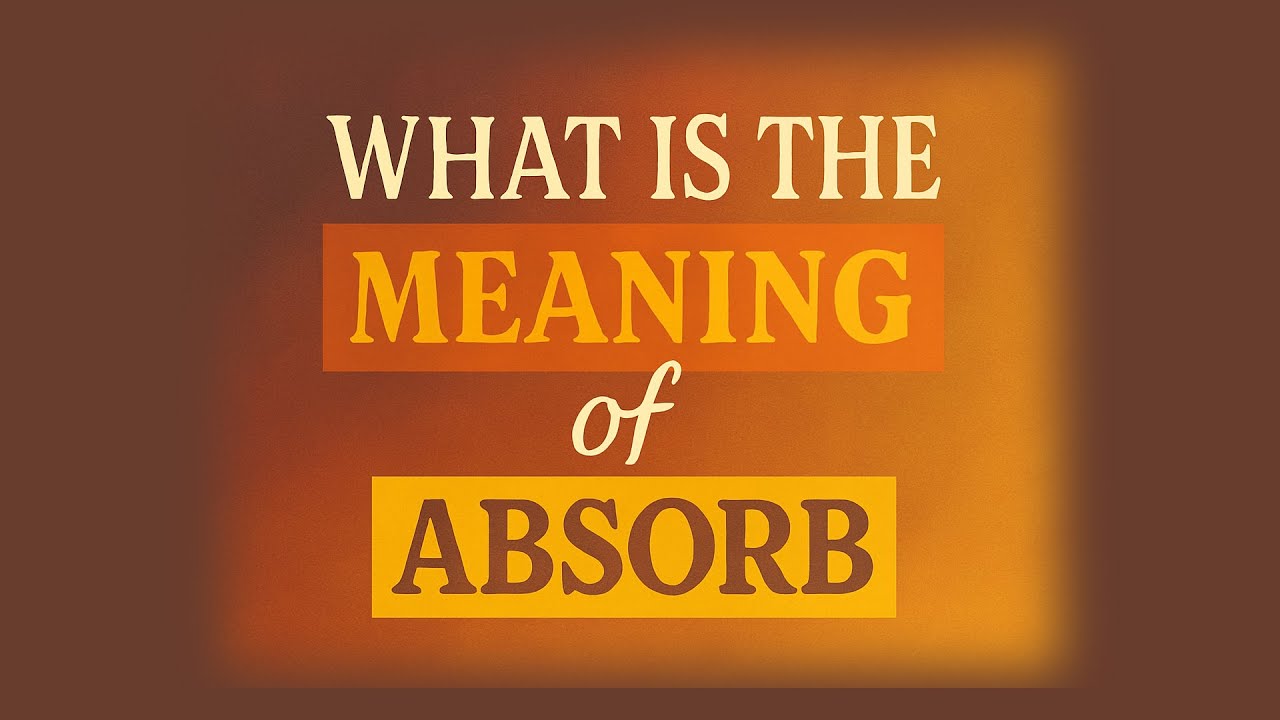 What is the meaning of Absorb? - YouTube