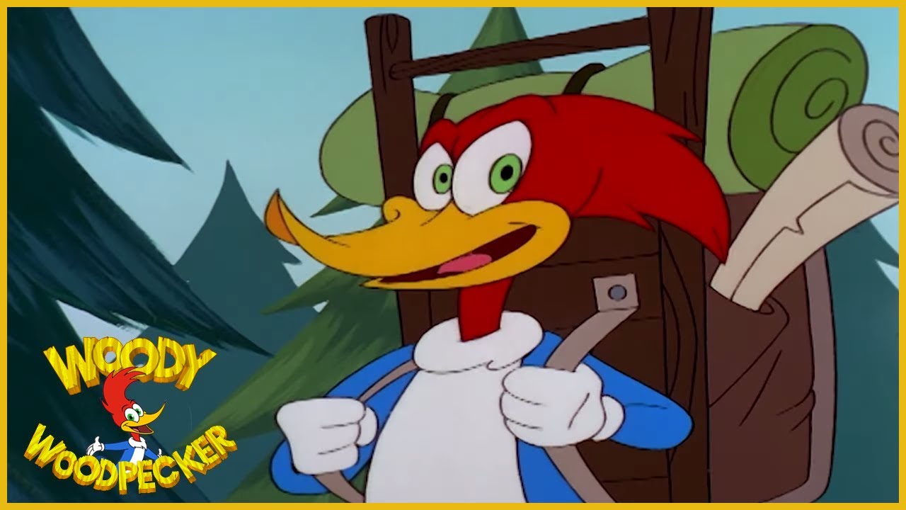 Woody Woodpecker | Gold Diggers | Full Episodes - YouTube
