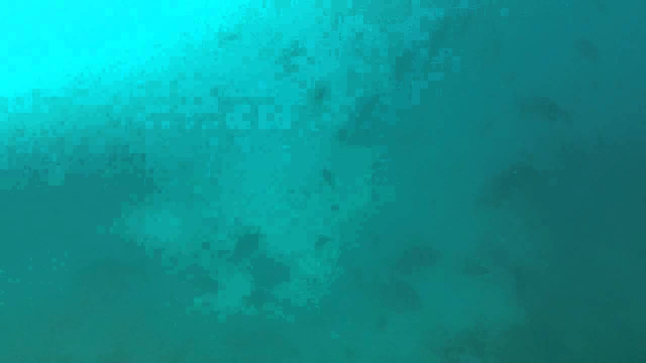 Hazy YouTube hazy-youtube