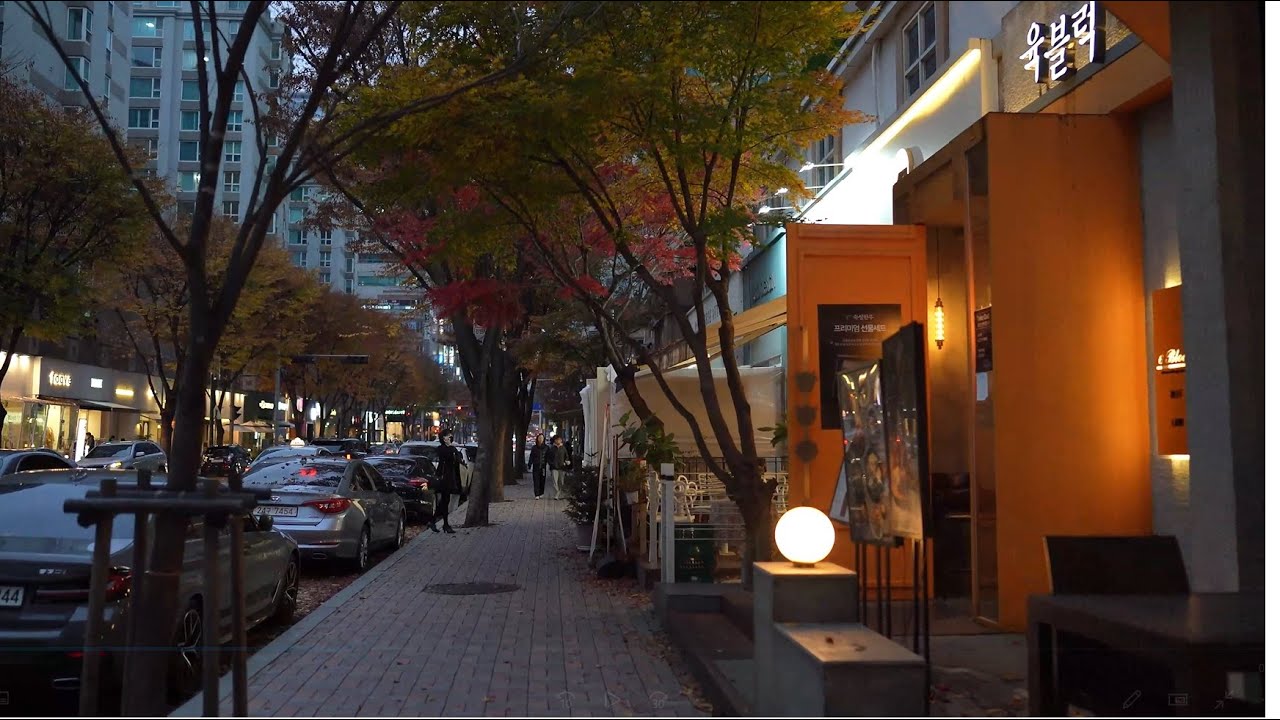 [4k]가을의 스산함을 분당 정자동 카페거리에서 느껴보세요/Feel the bleakness of autumn at ...