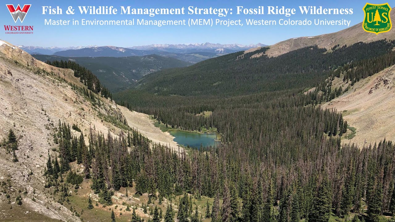 Fish & Wildlife Management Strategy, Fossil Ridge Wilderness - YouTube