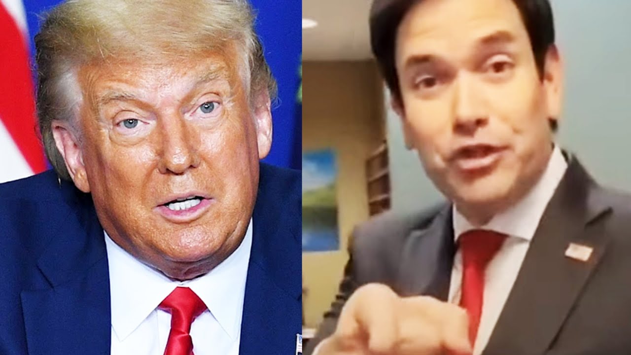 Little Marco Gets A Big Hand - TYT Hour 2: November 12, 2024 - YouTube