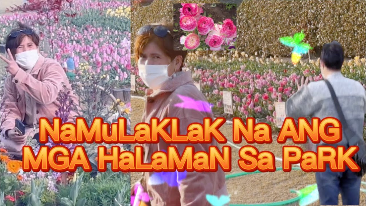 #namulaklak na ang mga halaman sa park//Anelyn Anac - YouTube