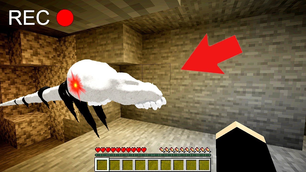 EVOCO LONG HORSE SU MINECRAFT E... *NON FARLO* - YouTube