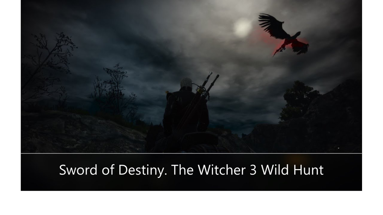 Sword of Destiny. The Witcher 3 Wild Hunt. - YouTube