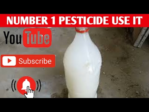 Chlorpyrifos 50 vs Cypermethrin 5 EC: Use and Benefits Explained