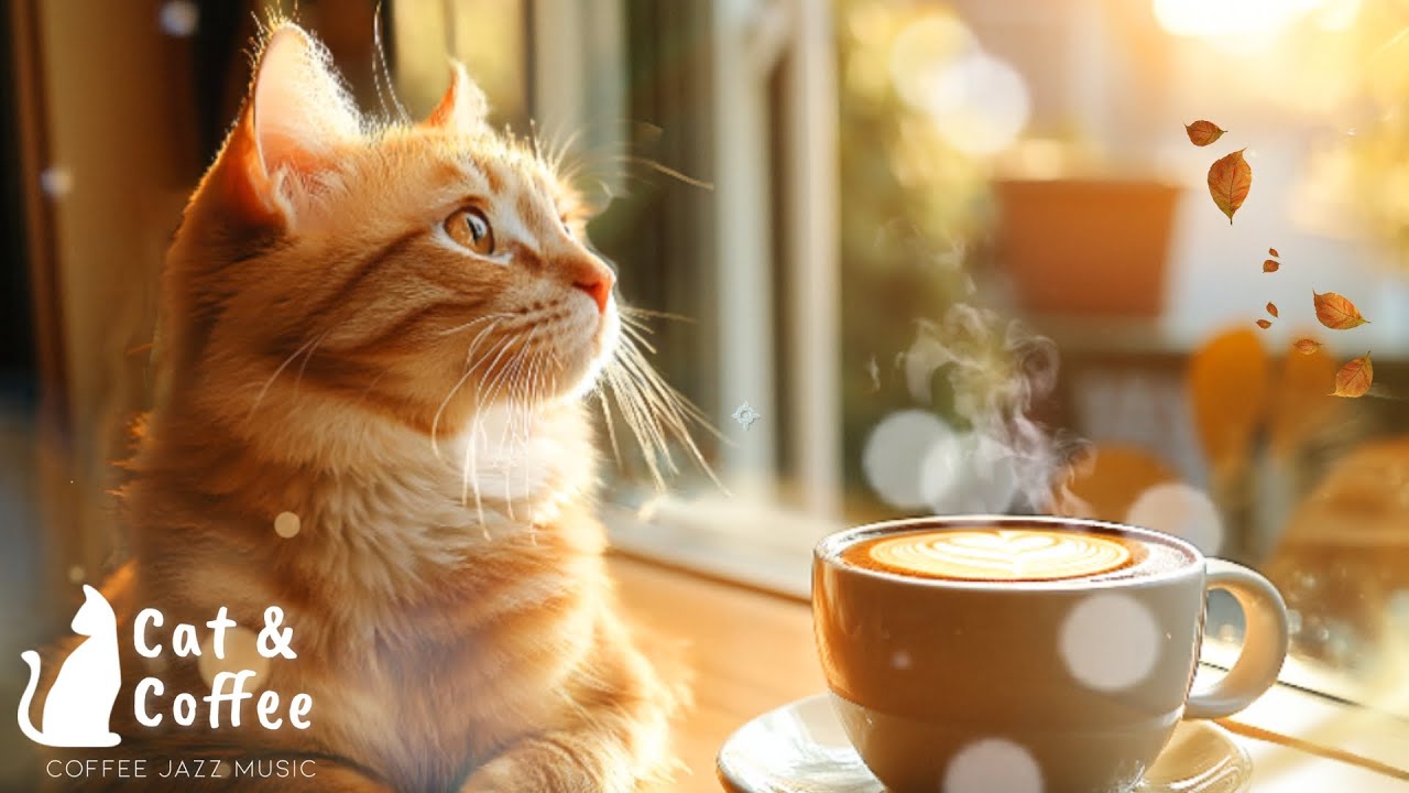 Peaceful Morning Jazz & Cat ☕Positive Morning Coffee Music and Upbeat ...