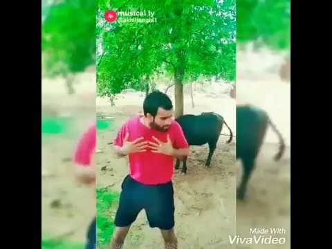 Tìç tõk comedy