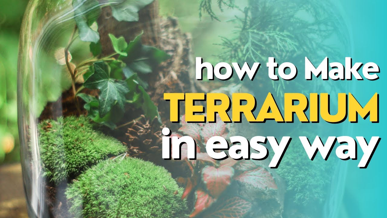 How To Make A Terrarium In Easy Way - #terrariummaking #terrarium # ...
