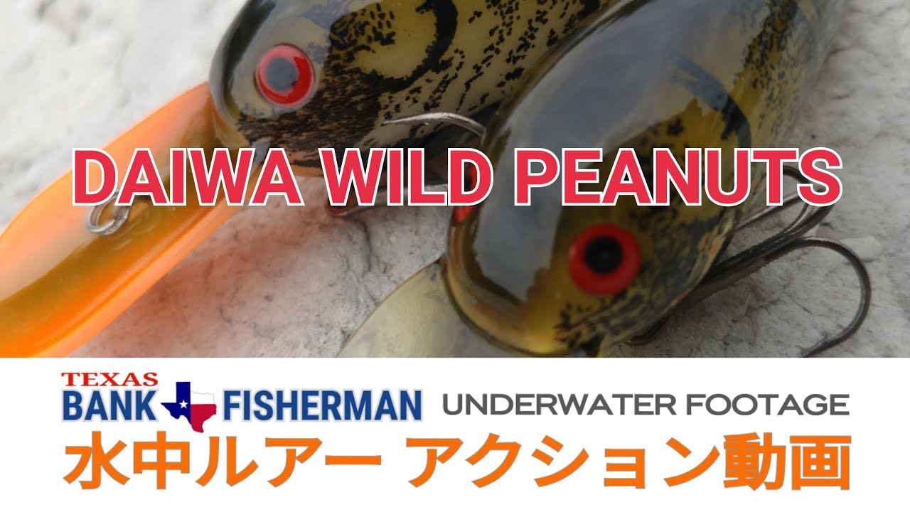 #DAIWA #ワイルドピーナッツ #水中ルアー動画 [UNDERWATER FOOTAGE] DAIWA WILD PEANUTS ワイルド ...