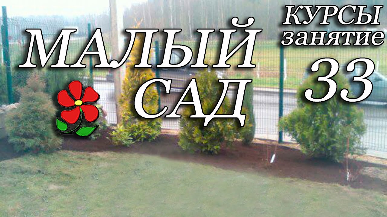 Малый сад. Особенности создания сада на небольшом участке. Курсы. Урок ...