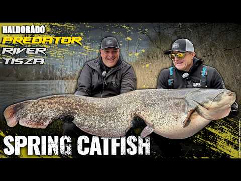 EFSANEVİ YAYIN BALIĞI SULARI Bölüm 13 - Yukarı Tisza’da İlkbahar Başında Yayın Balığı Avı