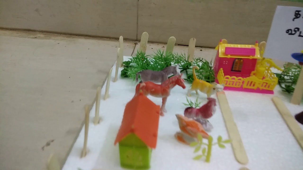 HOME ANIMALS SCHOOL PROJECT - YouTube