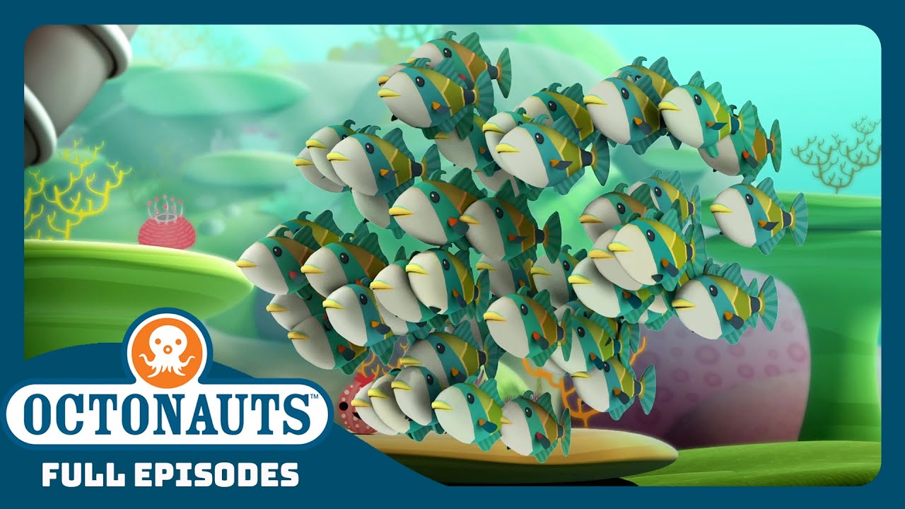 @Octonauts - 🐠 The Humuhumunukunukuapua’a 🐠 | Season 1 | Full Episodes ...
