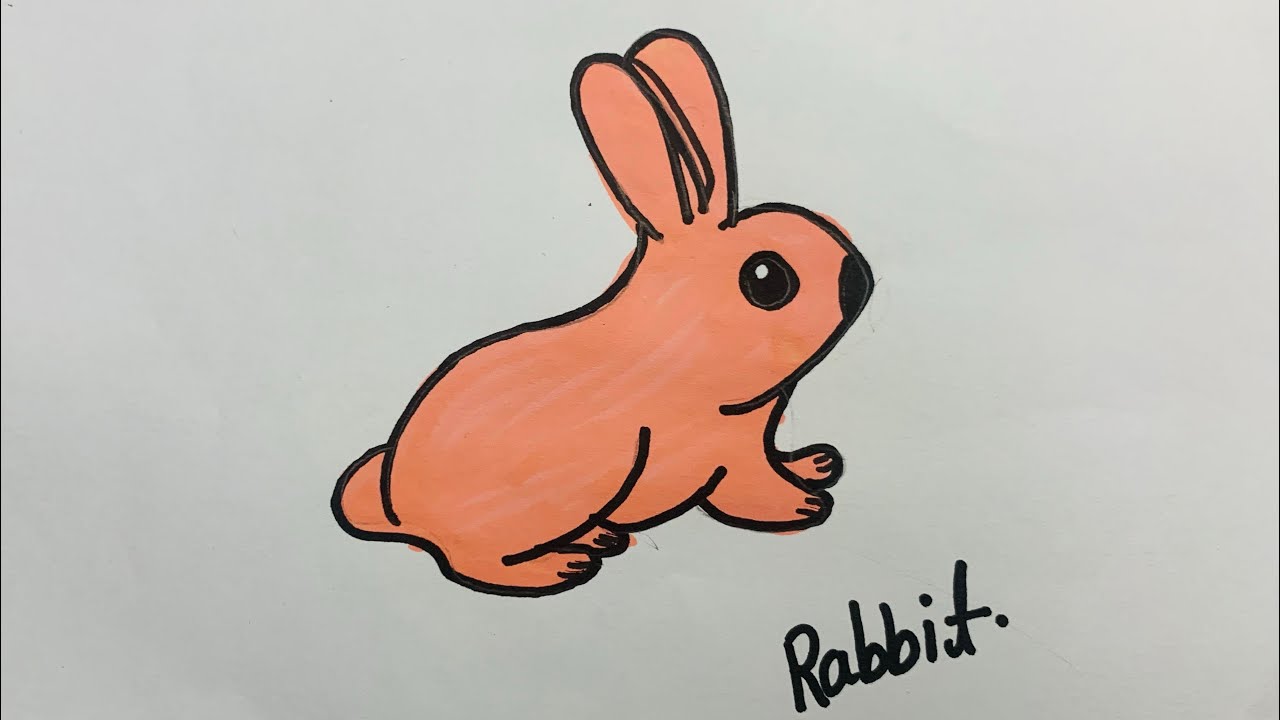 How to Draw Rabbit | Easy and Simple Rabbit Drawing | Smart Arts By ...