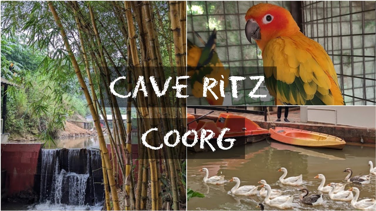 Visiting Cave Ritz resort | coorg | coorg wedding ceremony | Travel ...