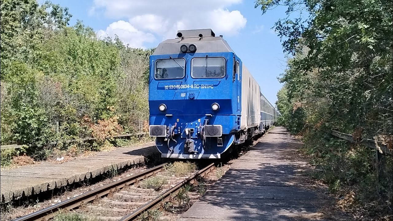 TRENURI ÎNTÂRZIATE IN HALTA NEPTUN - YouTube