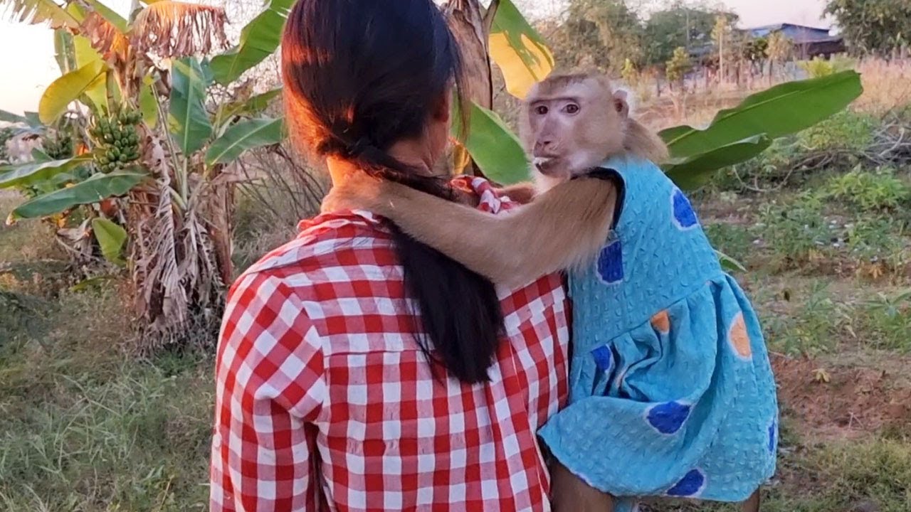 Princess YaYa Shally Happy To Help Mom Collecting Banana - YouTube