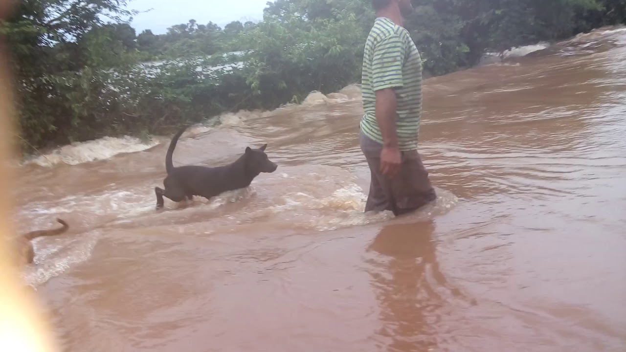 Patrick Lorran atravessa enchente em Chapada de Areia-TO - YouTube