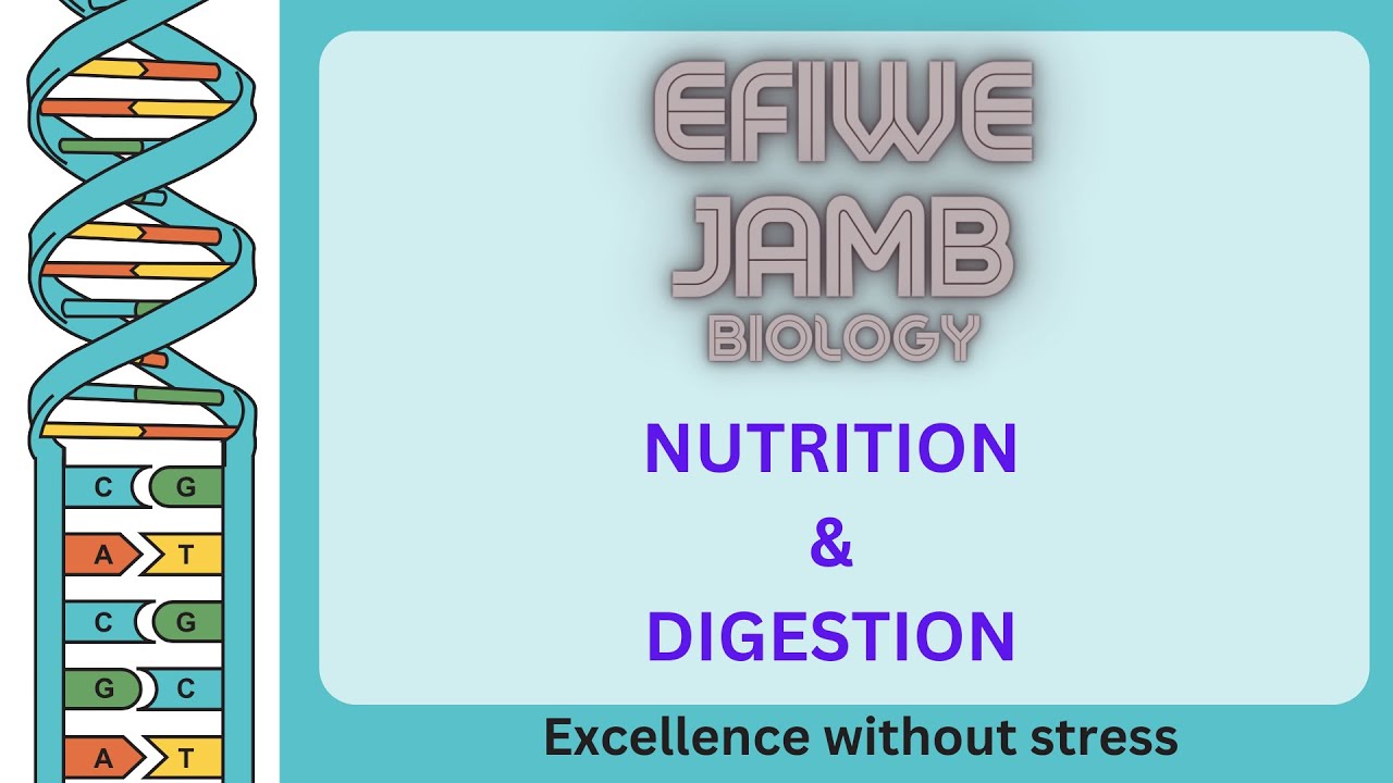 Efiwe Biology: Nutrition and Digestion - YouTube