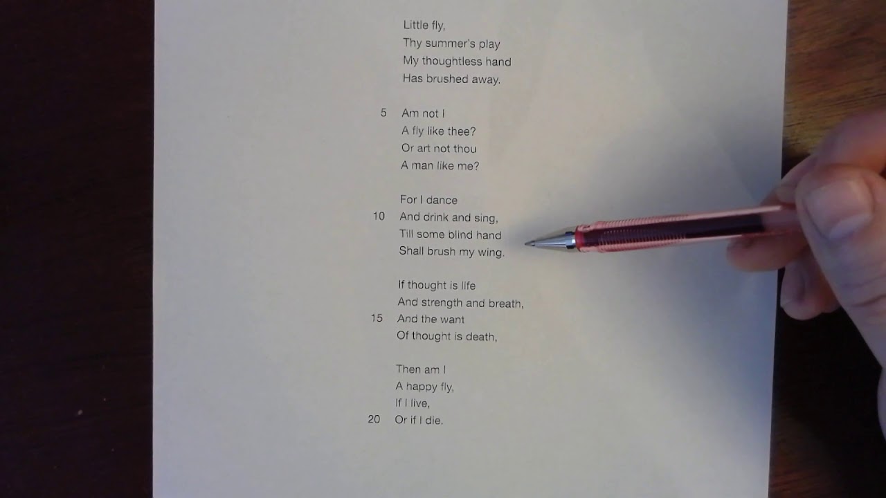 Year 12 English lit: The Fly by William Blake - YouTube