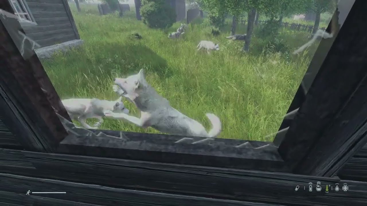 DayZ - Wolves at the Window! - YouTube