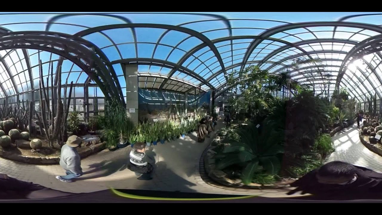 Spherical Video : Kyoto Botanical Garden : Conservatory : Cactus - YouTube