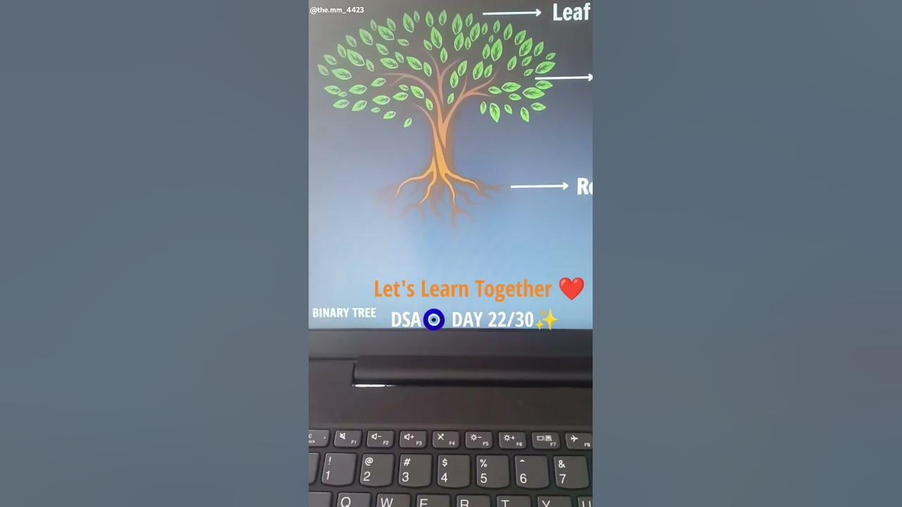 Binary Treedsaday 2230 Programmingcodingdsaalgorithmbinarytree