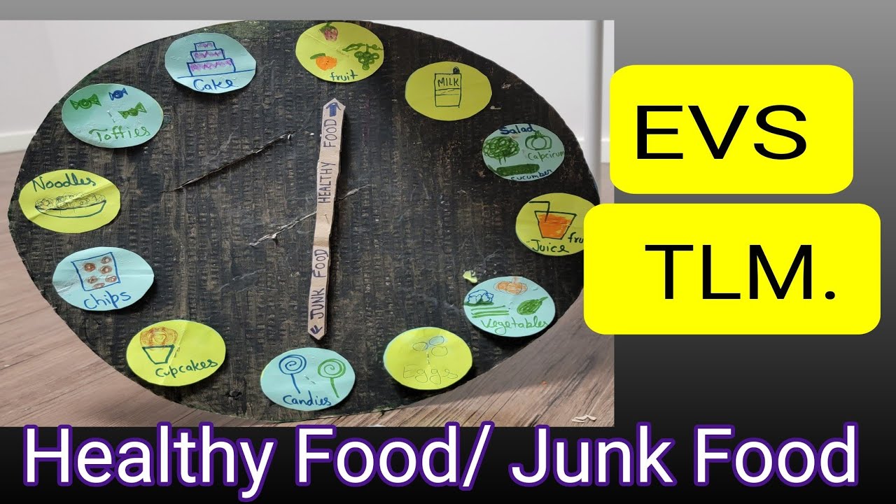 EVS TLM for class 1 to 5, TLM for primary school, Healthy food junk ...