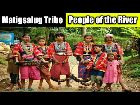 MATIGSALUG MANOBO TRIBE OF DAVAO CITY | INDIGENOUS PEOPLE | THE HUNGRY ...
