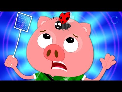 Shoo Fly Don't Bother Me | Nursery Rhyme | Kindergarten Song | Kids Rhyme For Baby