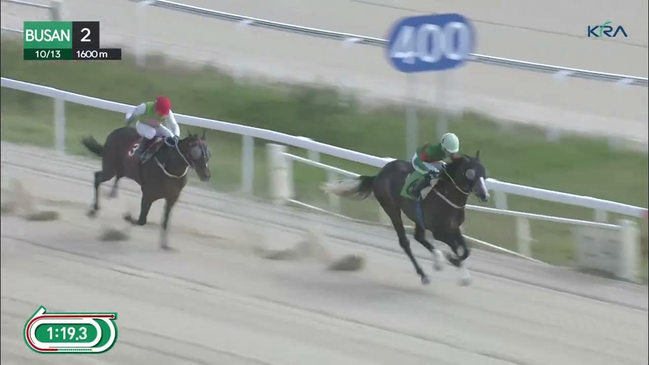 (Busan) 2024.10.13 R2 Class 6 (1600M) Special Weight A - YouTube