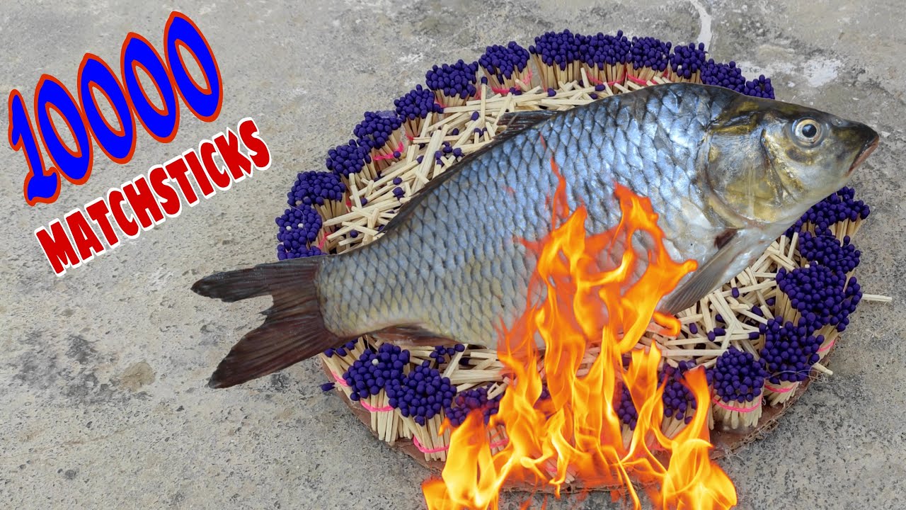 MATCHSTICK Vs FISH EXPERIMENT - YouTube