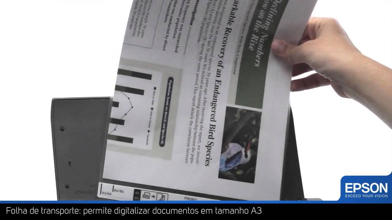 Scanner Epson WorkForce GT-S50 - YouTube