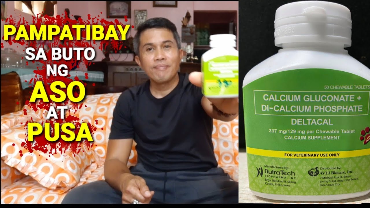 Calcium Tablet, Pampatibay Sa Buto Ng Aso At Pusa Lalo Na Sa Mga Tuta ...