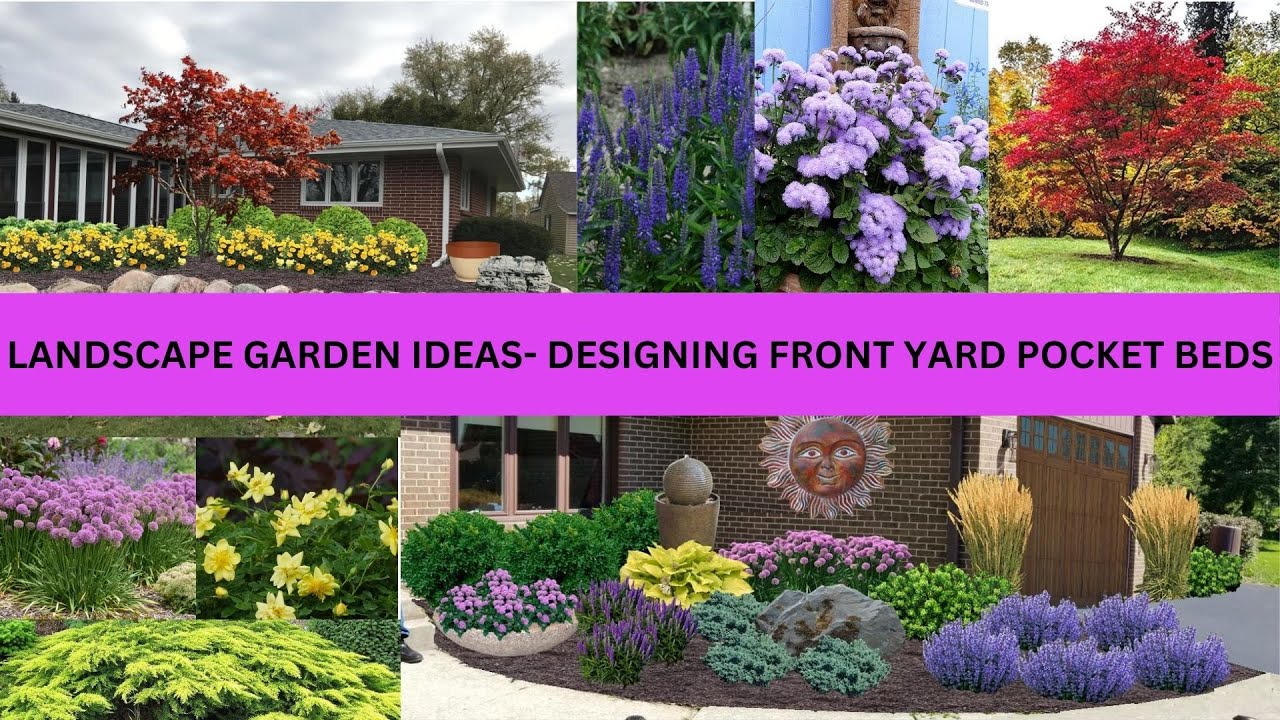 Flower Garden Designs For Full Sun Planting With Purpose: Flower