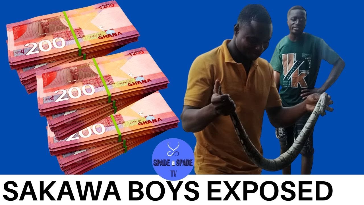 MONEY RITUALS: Sakawa Boys return snake to spiritualist after refusing ...
