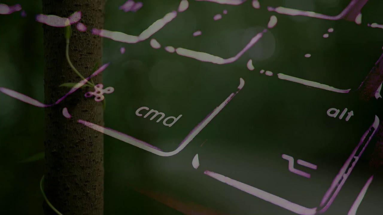 Vision and Mission of Welioya Divisional SecretariatSave translation ...