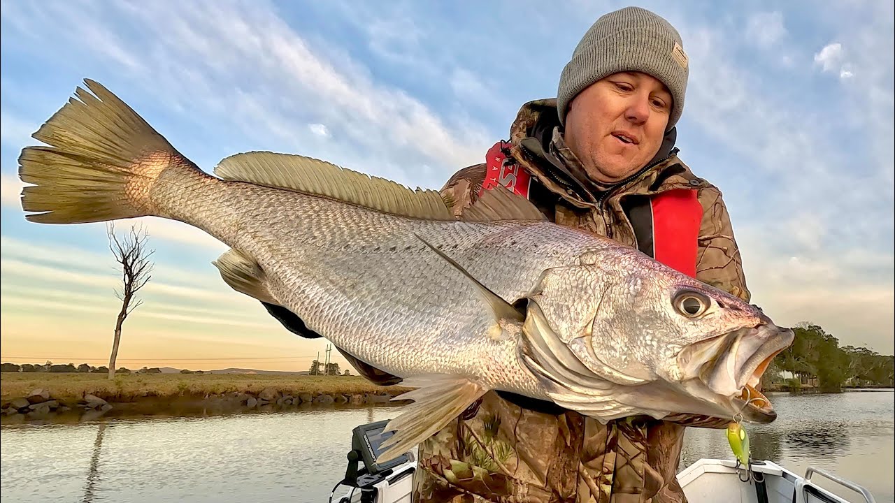Jewfish bonanza-amazing river fishing - YouTube