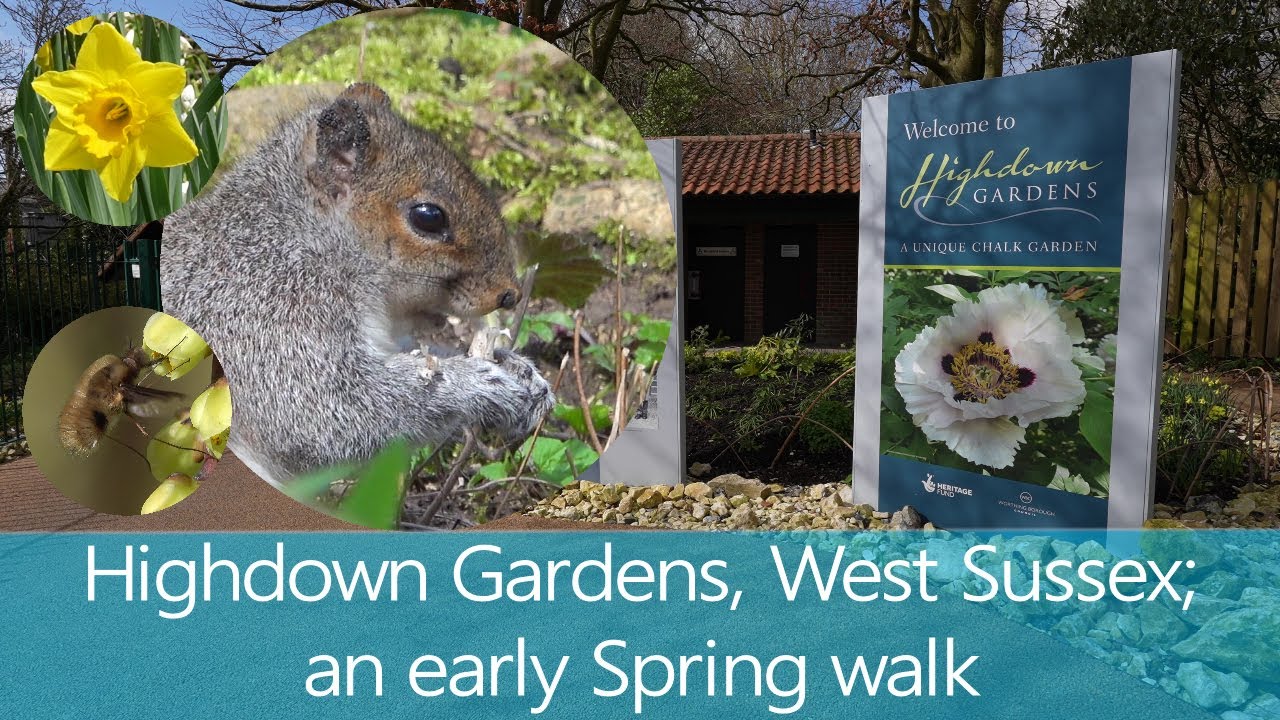 Highdown Gardens, Worthing, West Sussex; early Spring walk - YouTube
